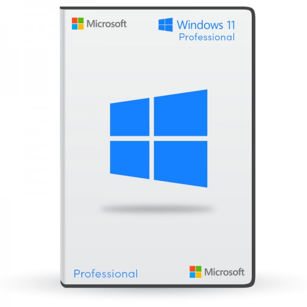 Windows 11 Professional